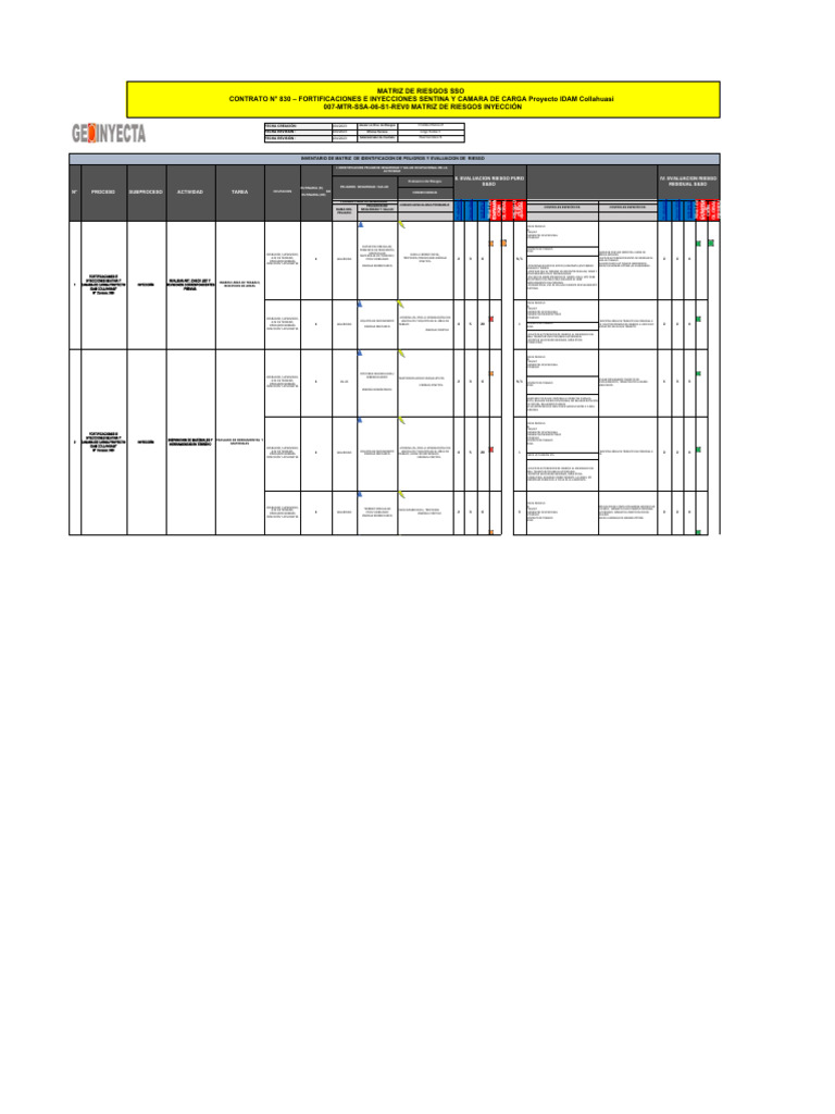 007 MTR SSA 06 S1 REV1 Matriz de Riesgos de Inyección | PDF