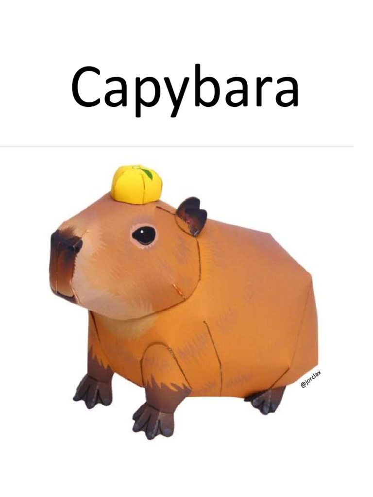 Capybara | PDF