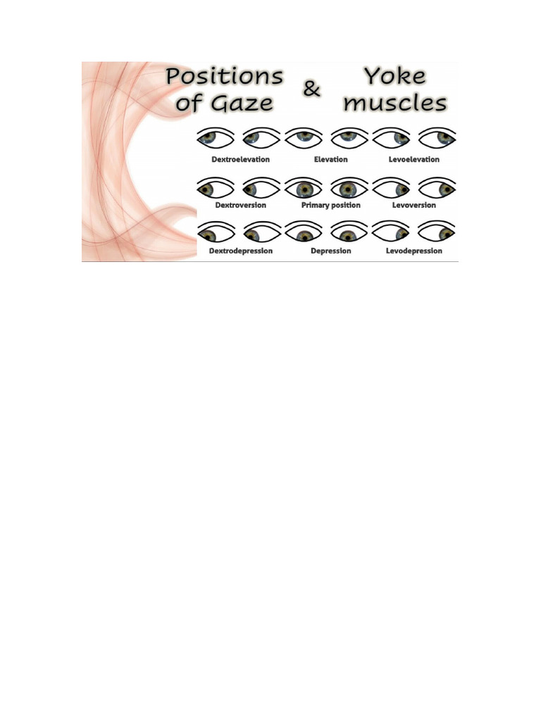 9 Position (Image) | PDF