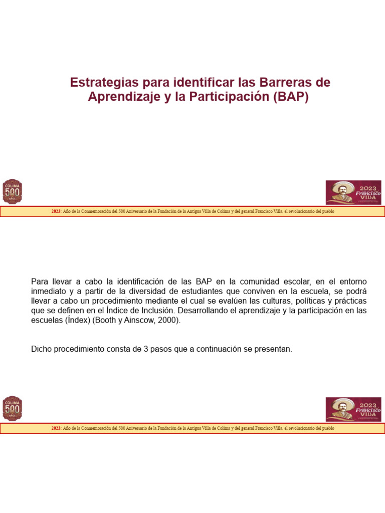 Estrategias BAP | PDF