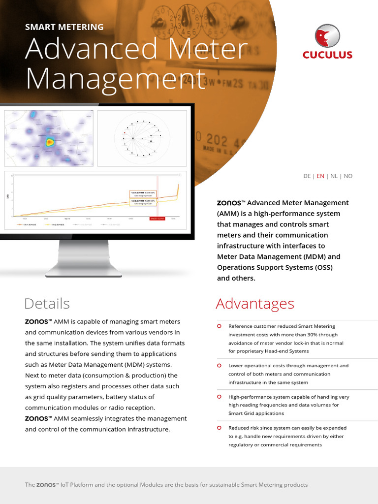 Advanced Meter Management: Details | PDF | Electrical Engineering | Service Industries