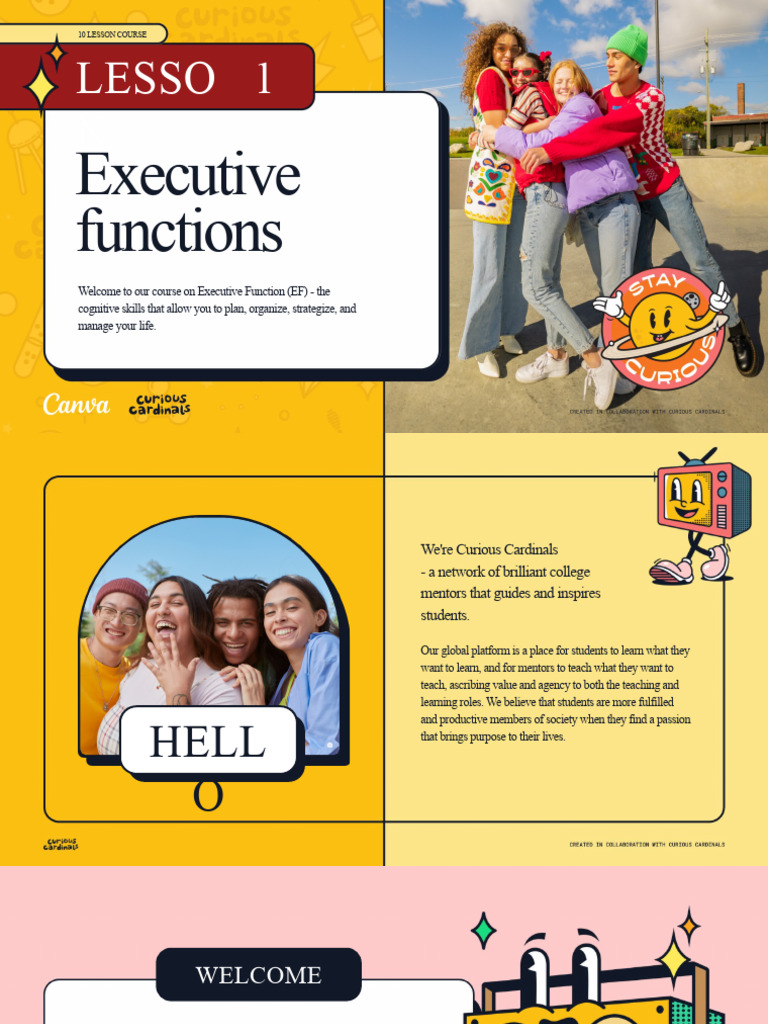 Silent Superpowers - Lesson 1 - Executive Functions | PDF | Executive Functions | Mentorship