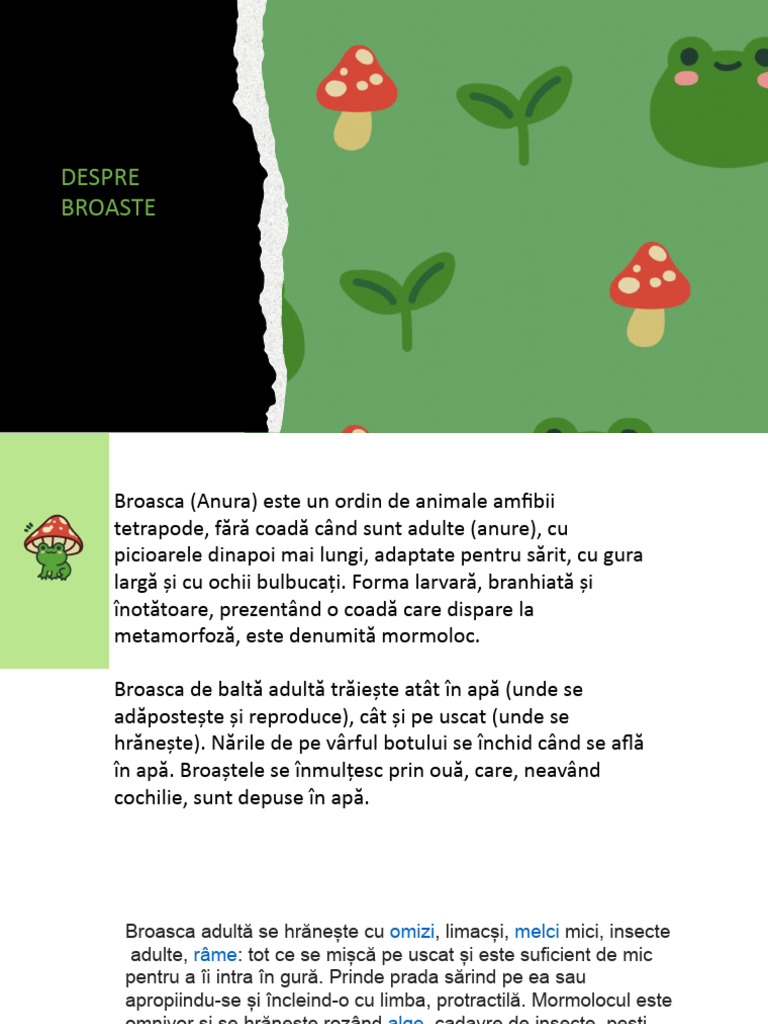 Despre Broaste | PDF