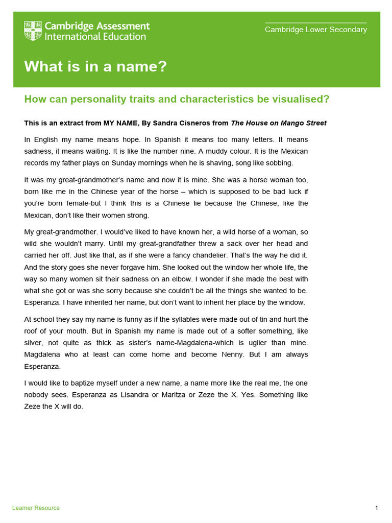 Exploring Identity Through Names | PDF