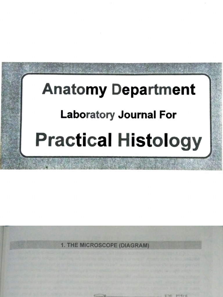 Histology Practical Mannual Diagrams-1st Yr. Mbbs by Saurabh Yadav | PDF