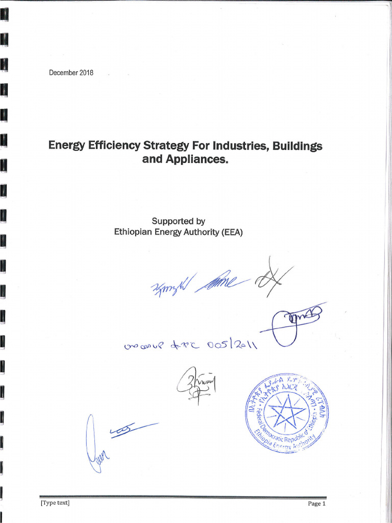 Energy Efficiency Strategy For Industries - Buildings and Appliance | PDF
