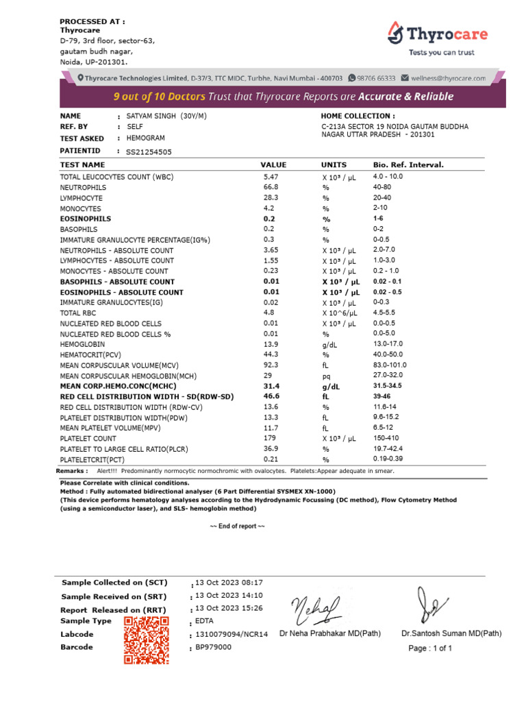 Thyrocare Processed at | PDF | White Blood Cell | Cell Biology