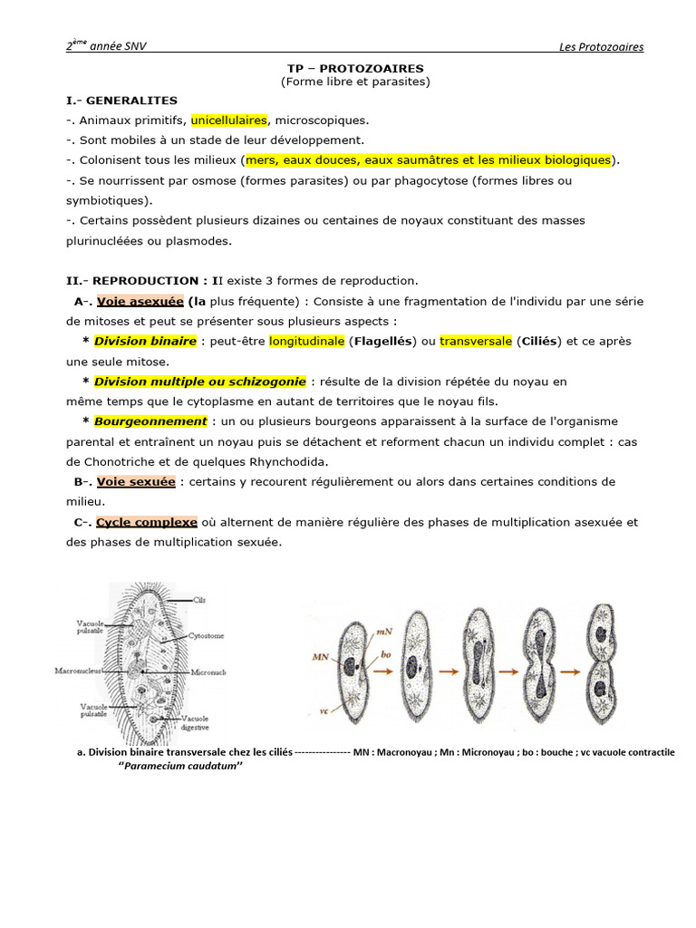 Classification des Protozoaires et Parasites | PDF | Parasitisme ...