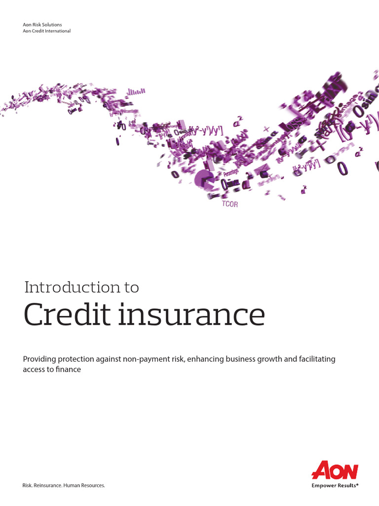 Aci Introduction Credit Insurance | PDF | Insurance | Credit