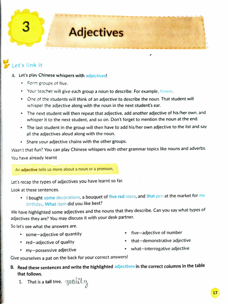 Grammar VI Chapter 3,4,5 | PDF | Adjective | Grammatical Gender