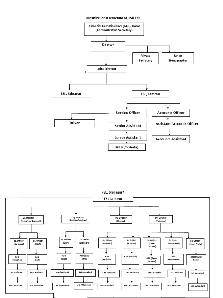 Fs L Organization Chart | PDF | Crime Scene | Scientific Method