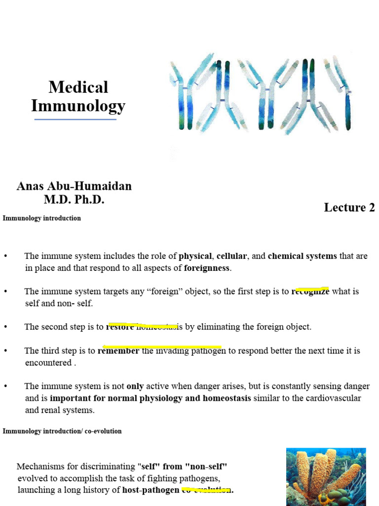 Lecture 2 Overview Of The Immune System Pdf