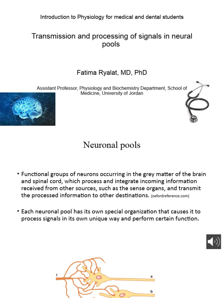 Med1 Neuronal Pool | PDF | Neuron | Nervous System