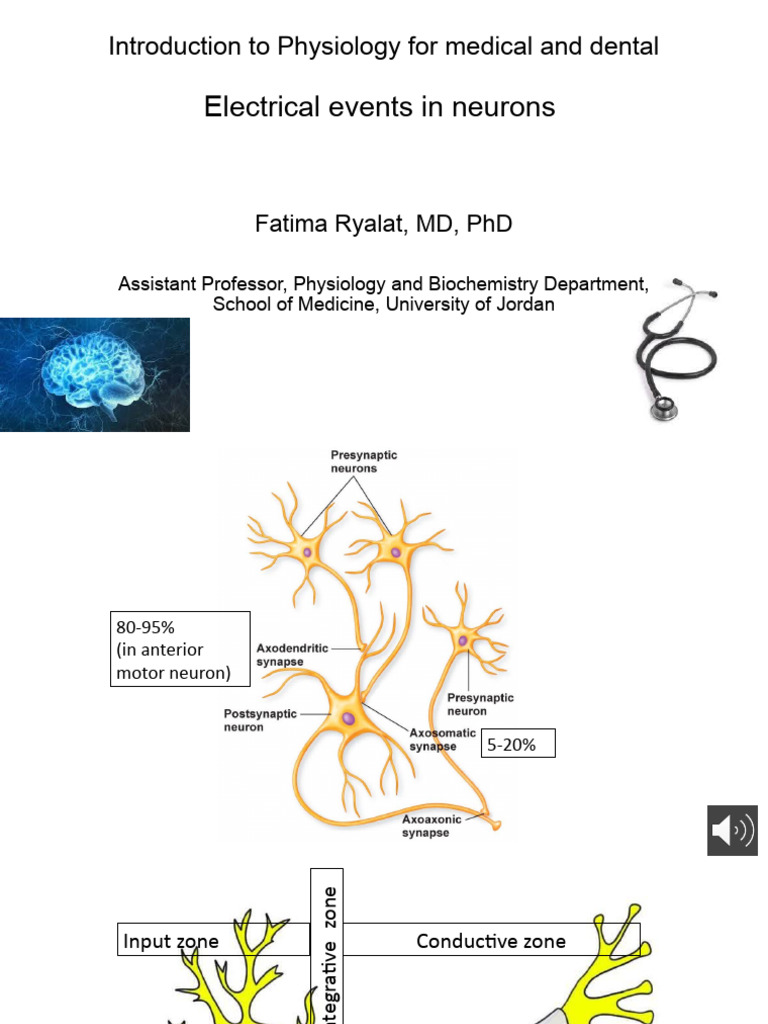 Neural Signaling Med 1 | PDF | Inhibitory Postsynaptic Potential | Chemical Synapse