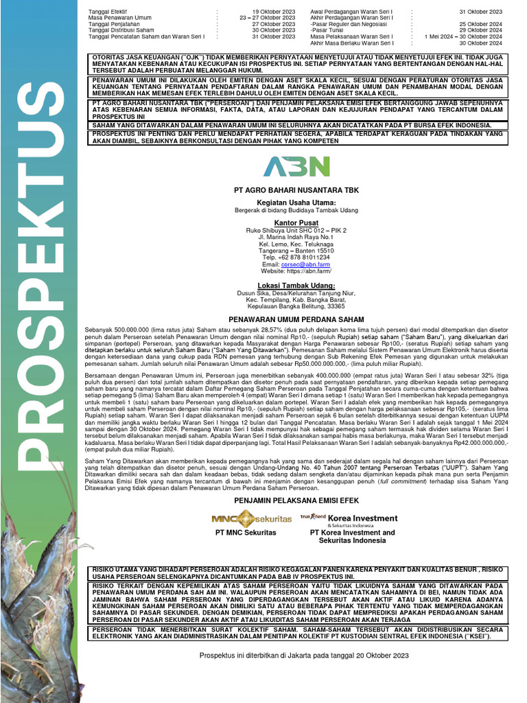 IPO Prospectus UDNG | PDF