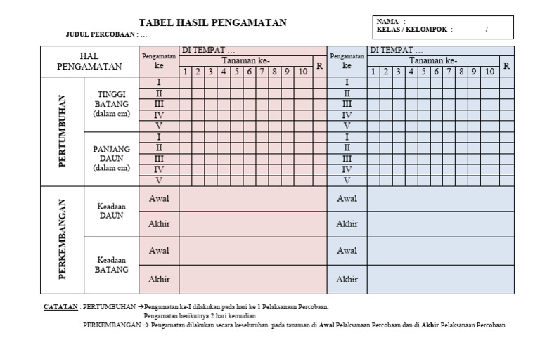 .Format File (Lamp) TABEL Hasil Pengamatan | PDF