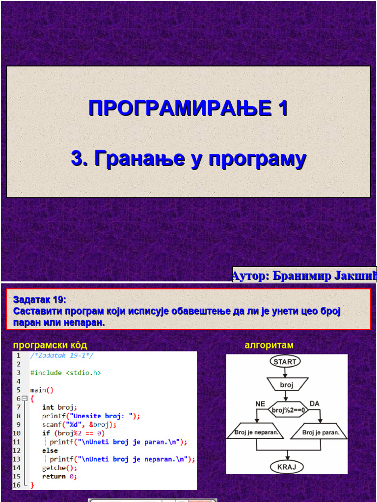3 - Grananje U Programu | PDF