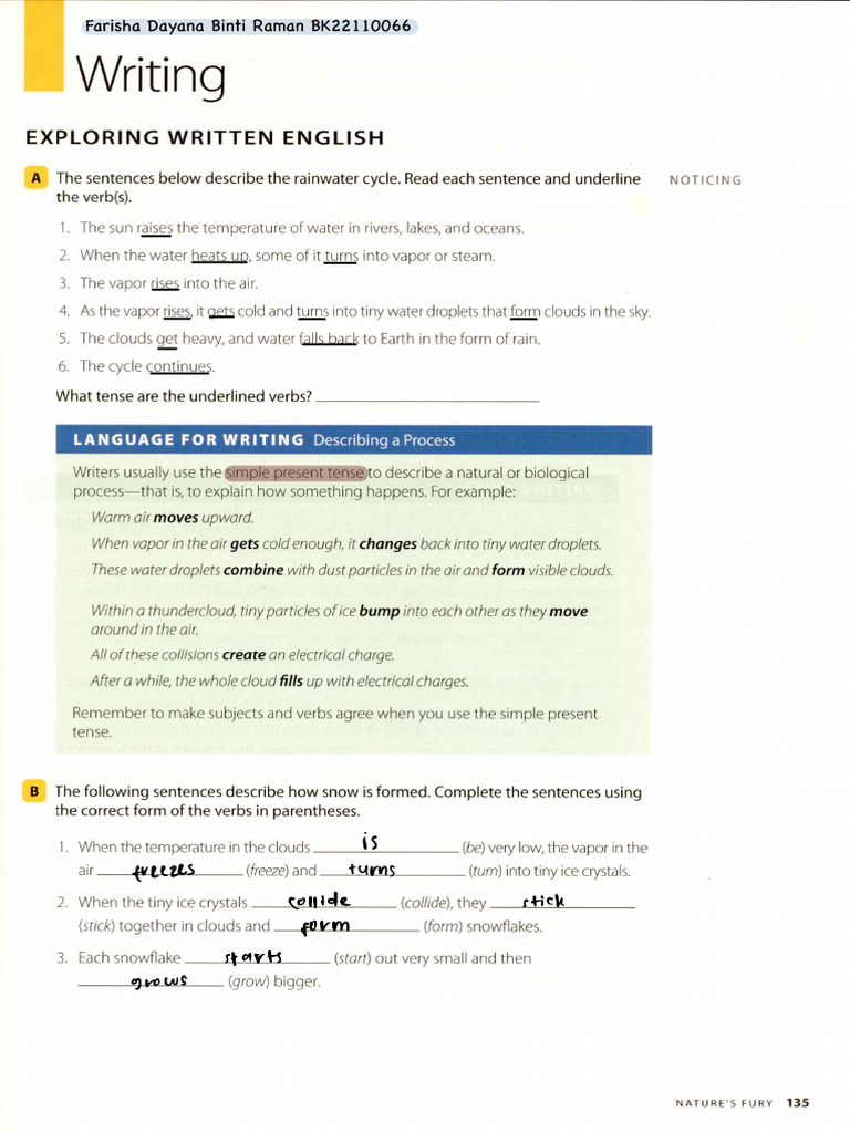 English Exercises | PDF
