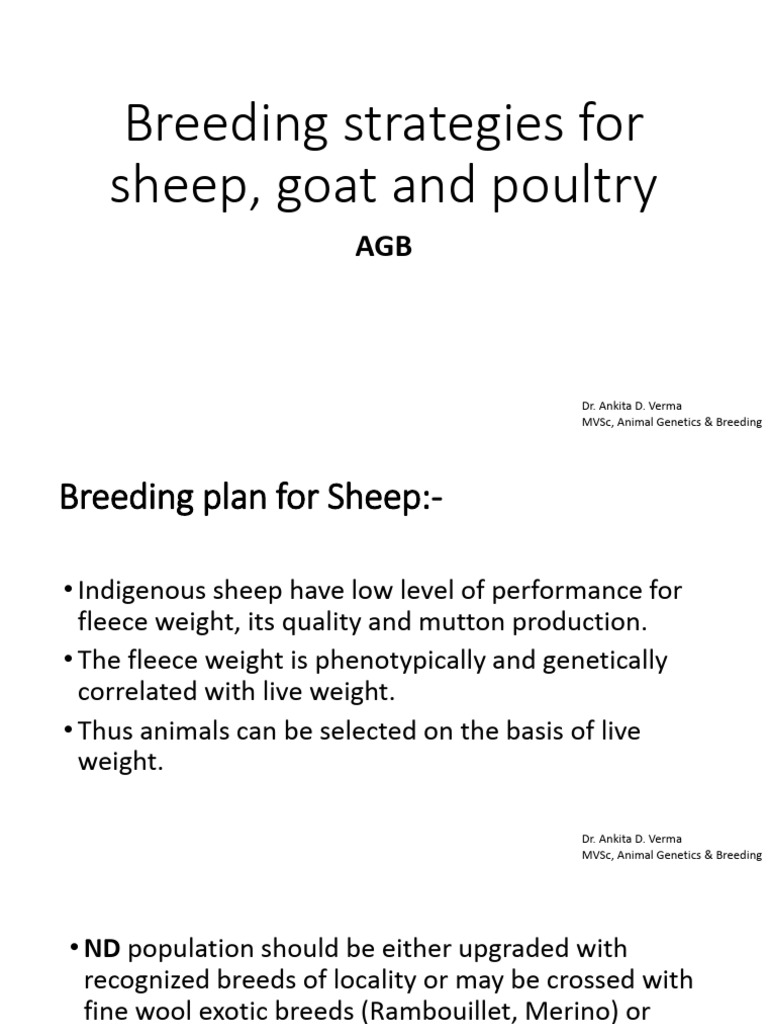 21 Breeding Strategies For Sheep, Goat and Poultry Notes by DR A | PDF ...
