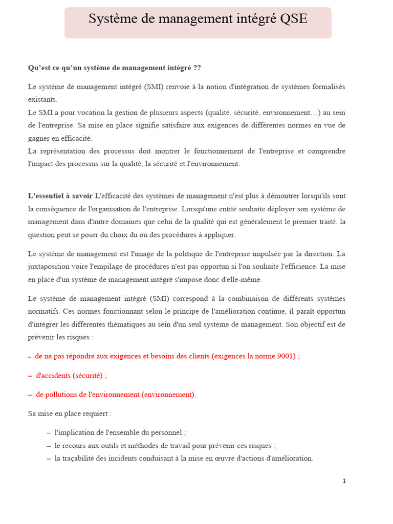 Définition D'un Systéme de Management Intégré | PDF