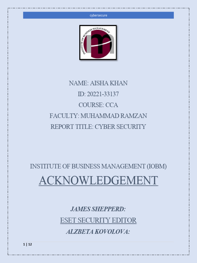 CCA Report | PDF | Computers