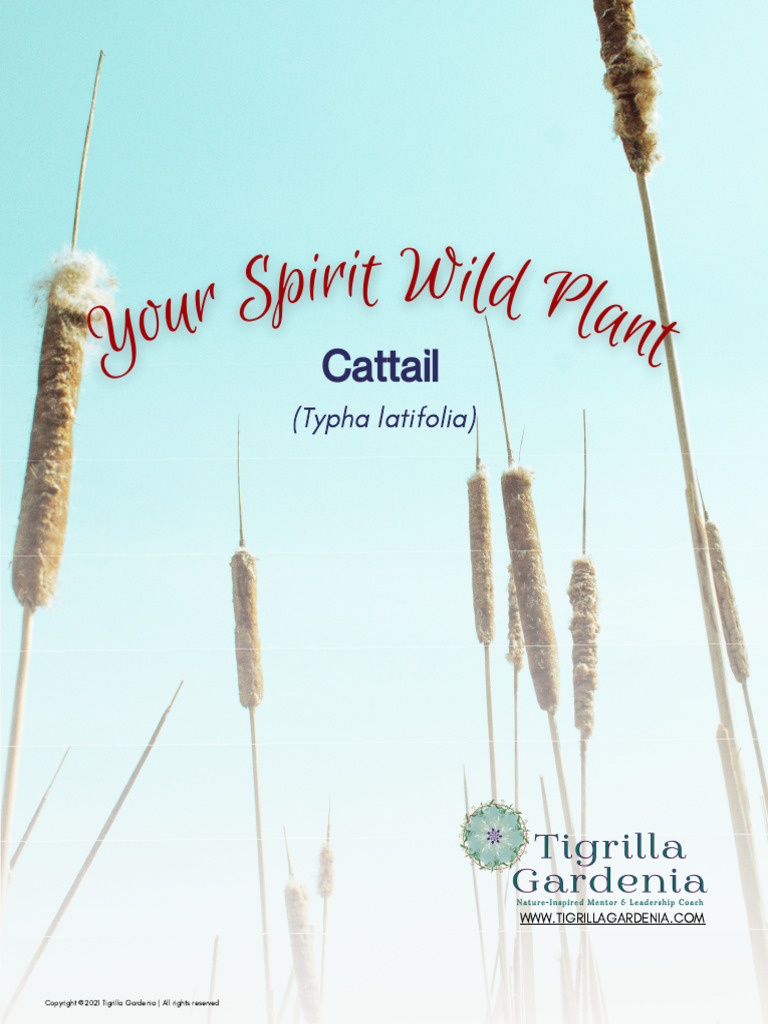 Your Spirit Wild Plant Is Cattail | PDF