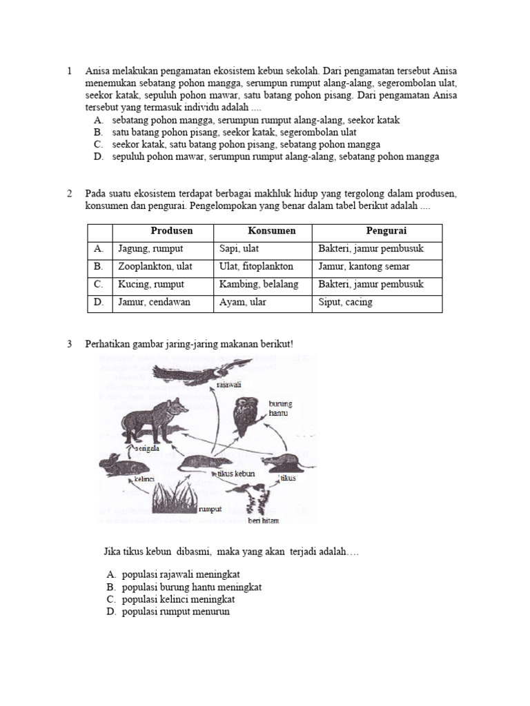 Soal Ekosistem Pdf