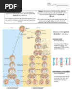 Grade 10 Mitosis Notes | PDF | Mitosis | Meiosis