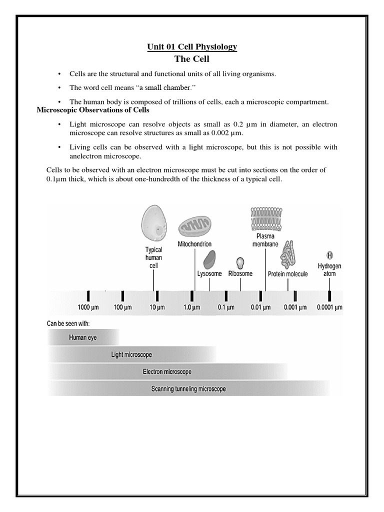 Lecture 2 - Cell Physiology | PDF | Endoplasmic Reticulum | Cell Membrane