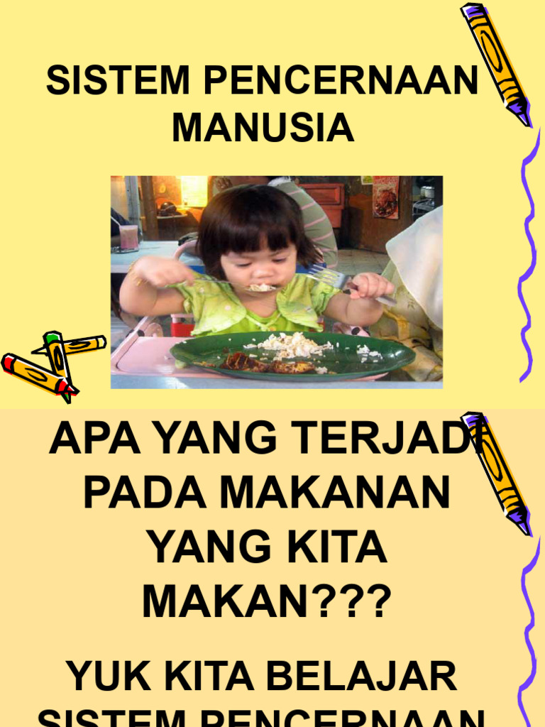 Proses Pencernaan Makanan Manusia | PDF