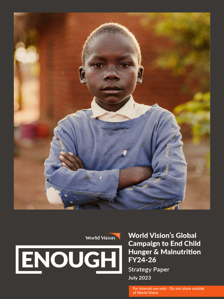 Final Strategy Paper2 | PDF