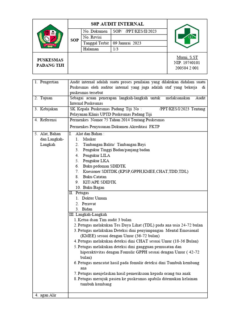 Sop Audit Internal | PDF