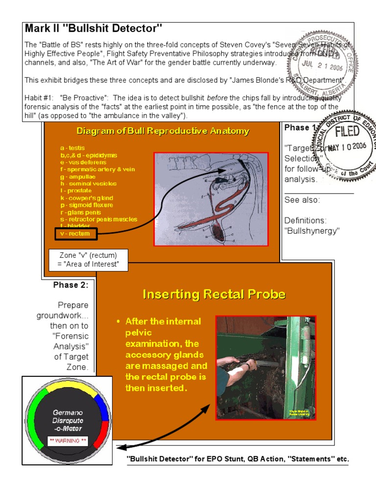 Bullshit Detector | PDF