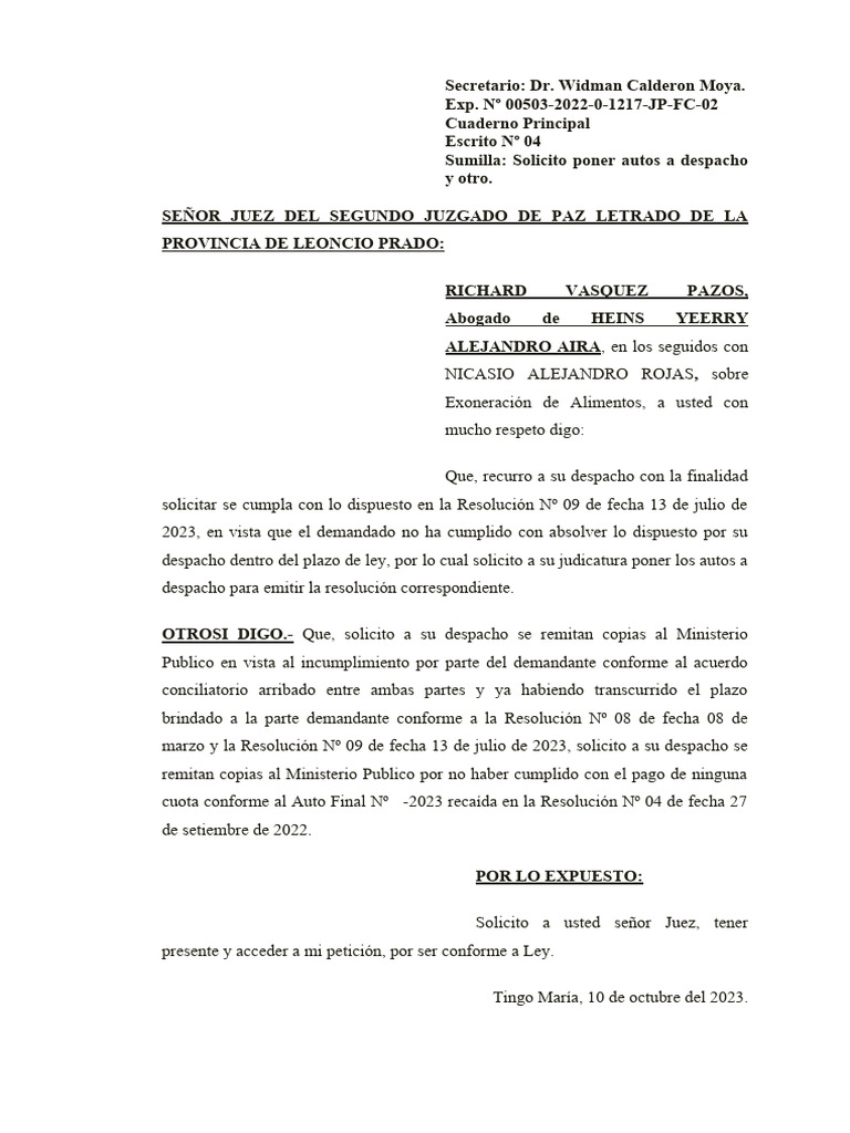 Solicito Poner Autos A Despacho de Heins Yeerry Alejandro Aira | PDF