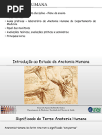 Aula 1 - Planos e Eixos | PDF | Anatomia | Corpo humano