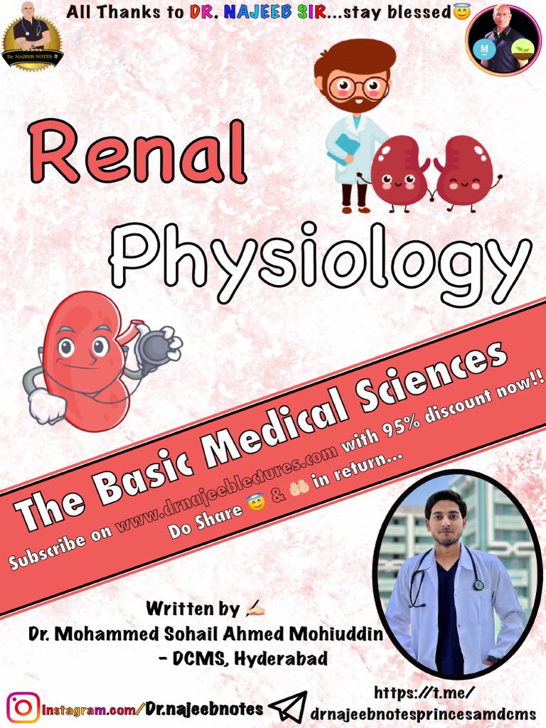 Renal Physiology | PDF