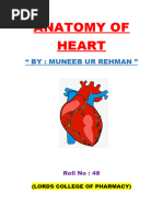 Human Heart Anatomy Overview | PDF | Heart | Heart Valve
