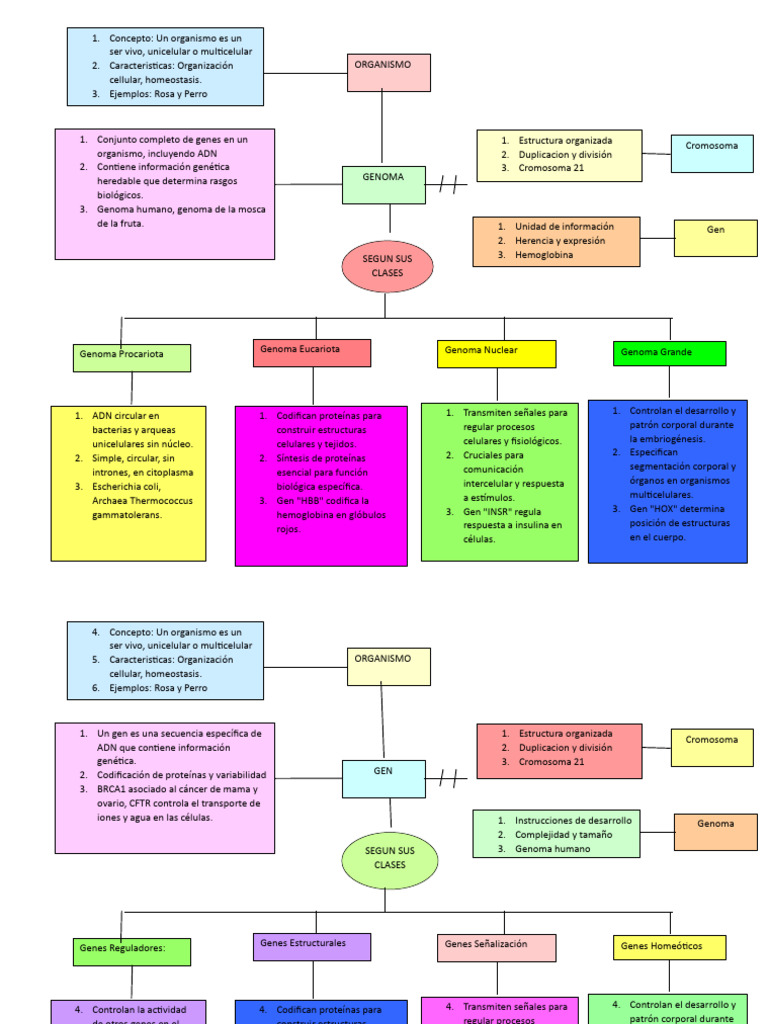 Mapas Conceptuales | PDF