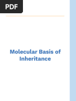 Class 12 Biology Notes Chapter 5 Molecular Basis of Inheritance | PDF ...