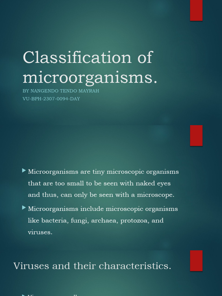 Microorganism Classification Overview | PDF | Virus | Fungus
