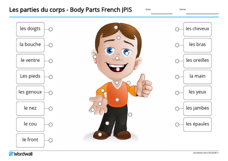 Parties du corps en français | PDF | Bien-être