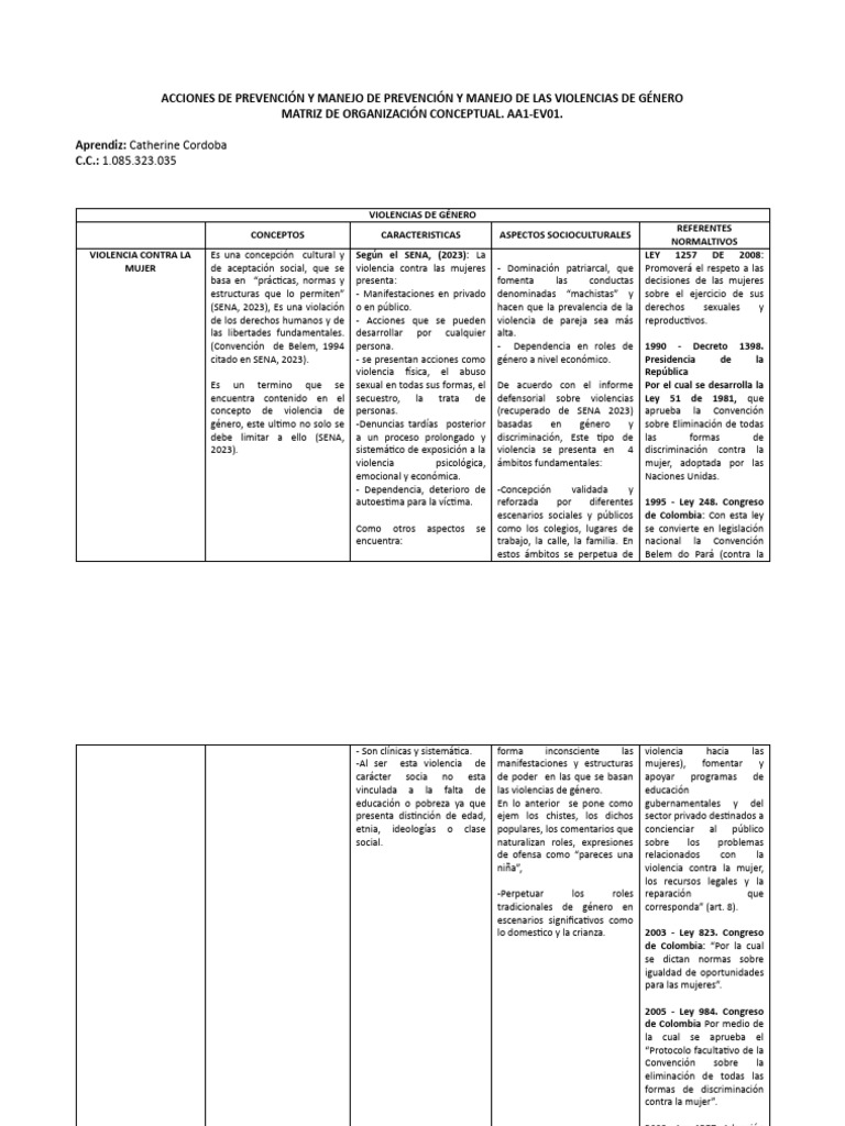 Evidencia Matriz de Organización Conceptual. AA1-EV01 | PDF