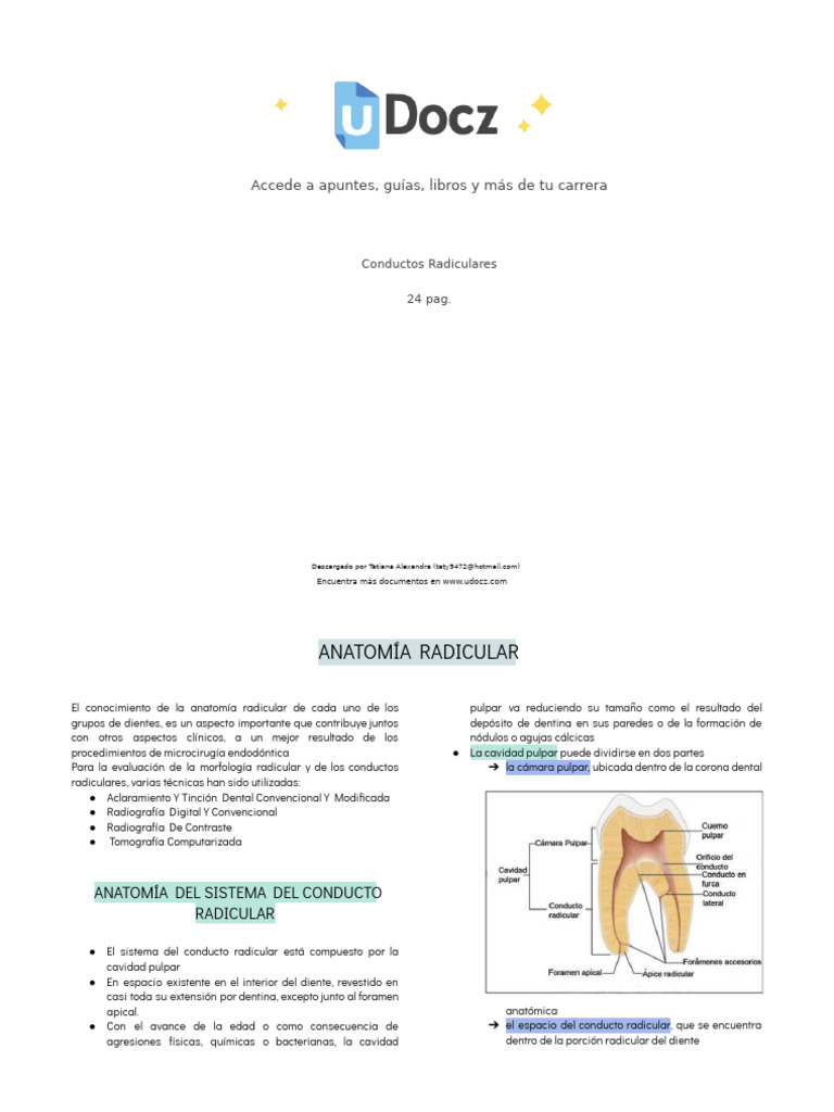 Conductos Radiculare 374894 Downloadable 3444425 | PDF | Ramas de ...