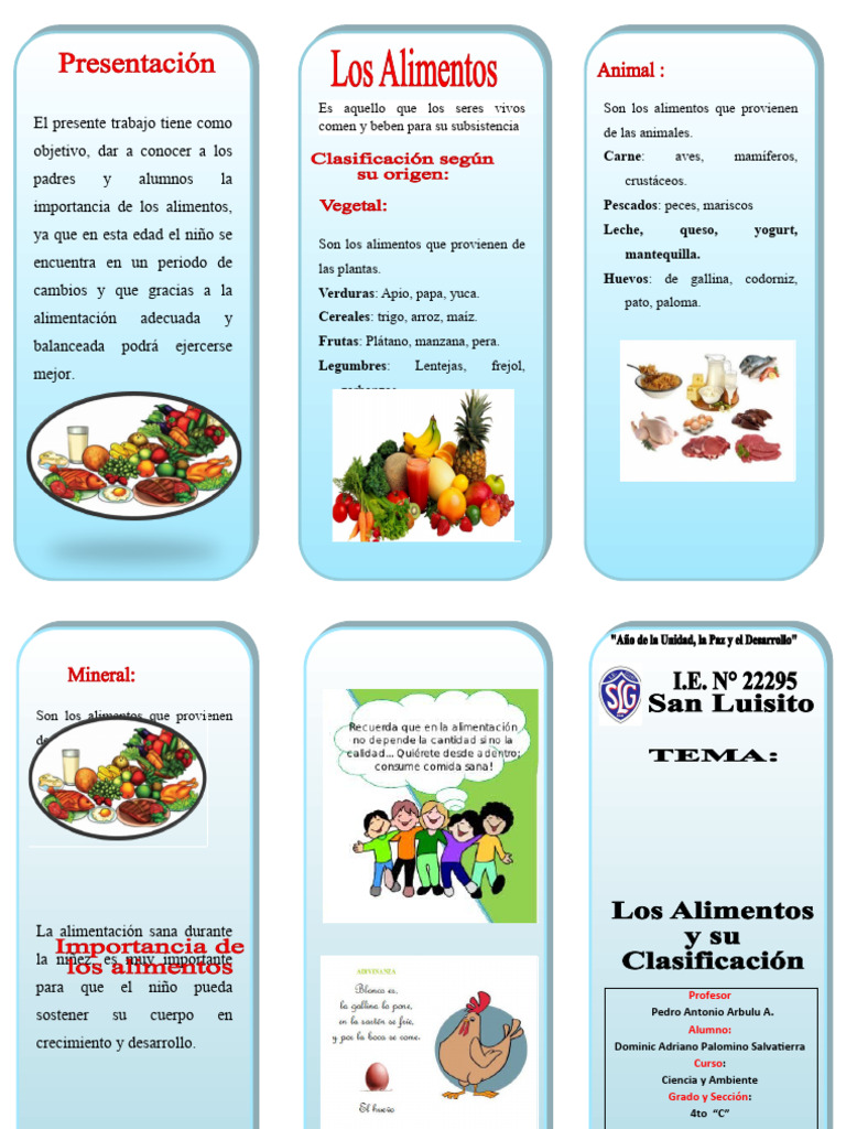 Triptico Alimentos y Su Clasificacion | PDF | Alimentos | Comida y bebida
