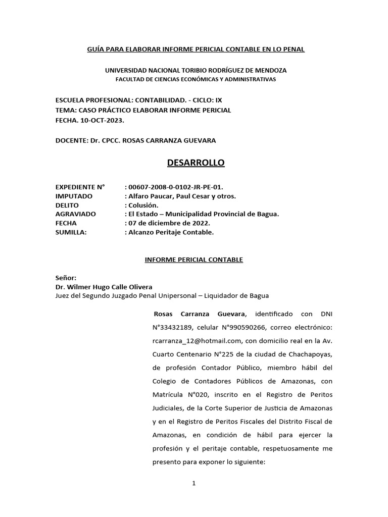 Informe Pericial Contable en Colusión | PDF | Contador | Auditoría