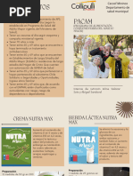 Taller PACAM Nutra Max | PDF | Leche | Alimentos