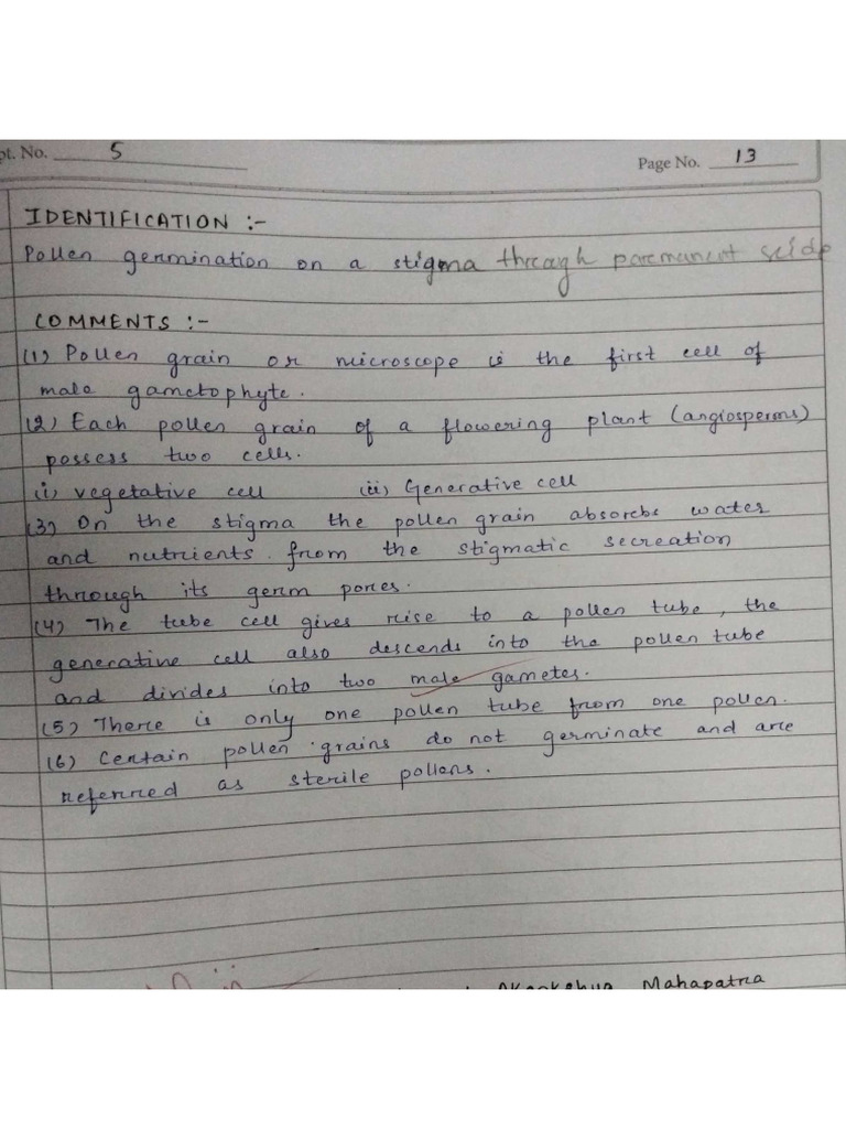 Pollen Germination Through Permanent Slide | PDF