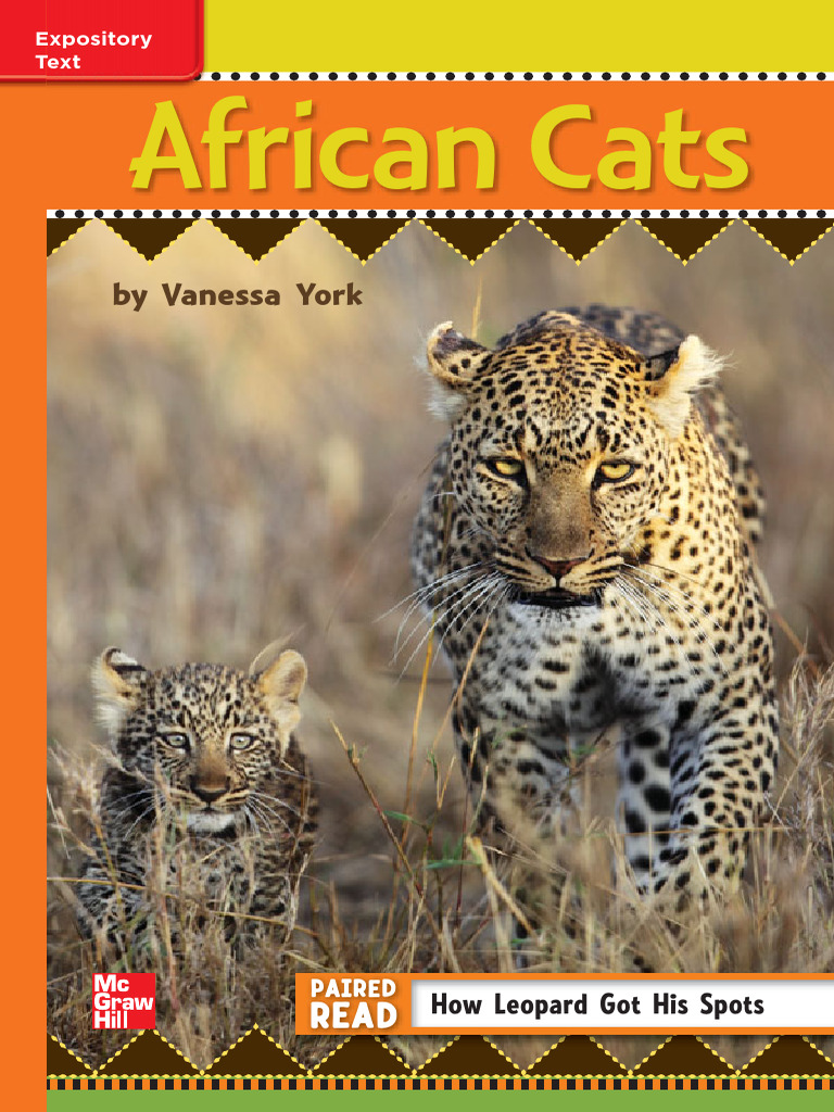 Copy-of-African-Cats-grade 3 Reading | PDF | Lion | Leopard
