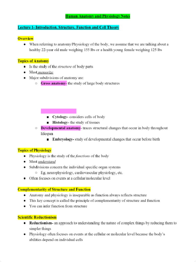 Anatomy Notes | PDF