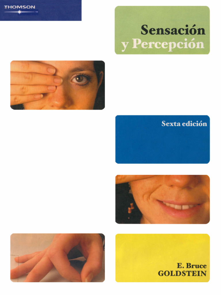 Sensaciones y Percepcion 6 Edicion | PDF